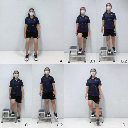 Impact of telehealth-based therapeutic exercise on pain, functional ...