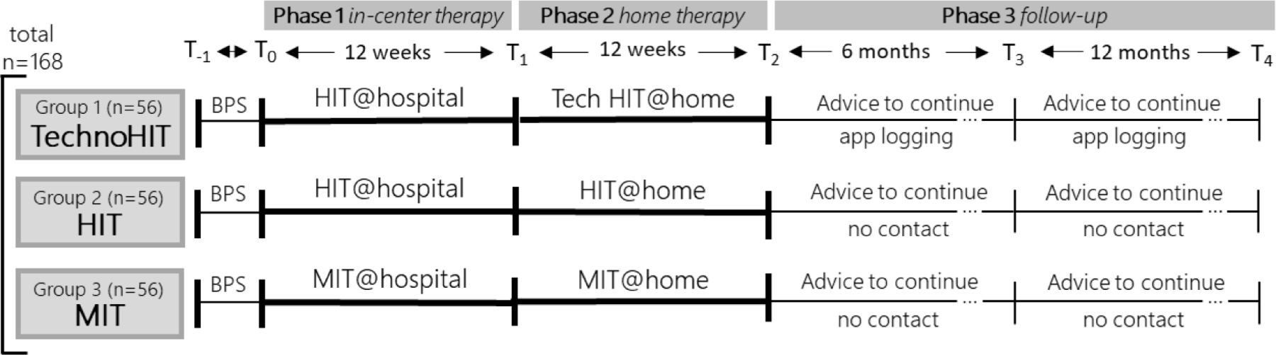 Technology supported High Intensity Training in chronic non-specific ...