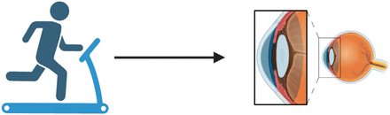 1 (16A) Utility of an objective oculomotor tracking tool after ...