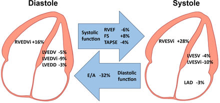 Acute effects of marathon running on the heart: a systematic review and ...
